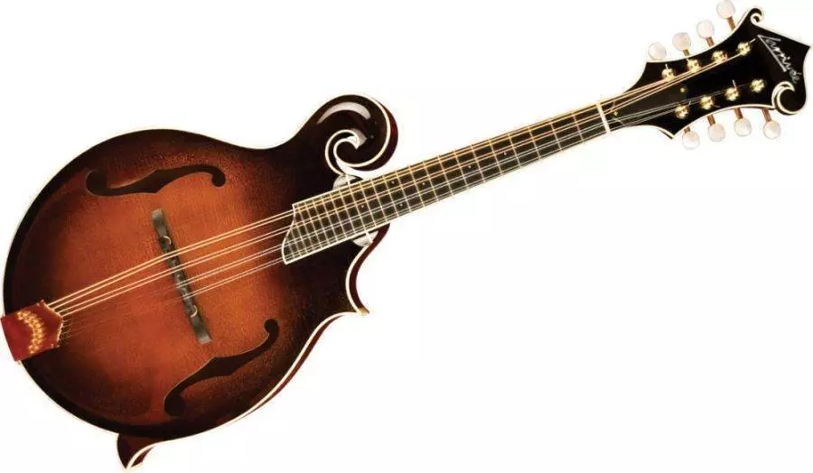 Larrivee F-Style Mandolin | Long & McQuade