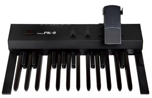 Roland Dynamic Polyphonic Pedal Board | Long & McQuade