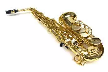 Carlton Lacquered Alto Saxophone W/Case | Long & McQuade