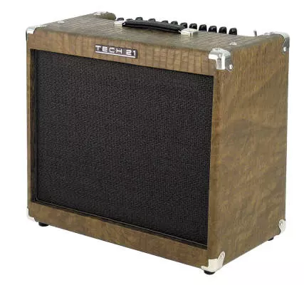 Tech 21 Bronzewood 60 Acoustic Amp | Long & McQuade