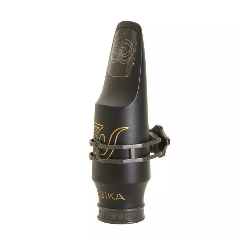 Theo Wanne Ambika Tenor Sax Mouthpiece - Hard Rubber, 7* | Long & McQuade