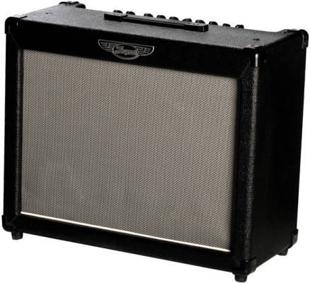 Traynor DynaGain 30 - Guitar Amp With Effects | Long & McQuade