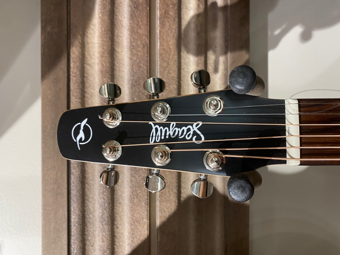 Gear Hunter | Seagull Guitars - S46409