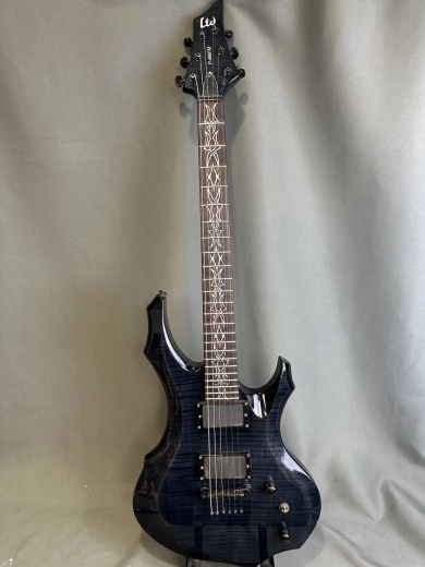 Gear Hunter | ESP LTD F-400FM