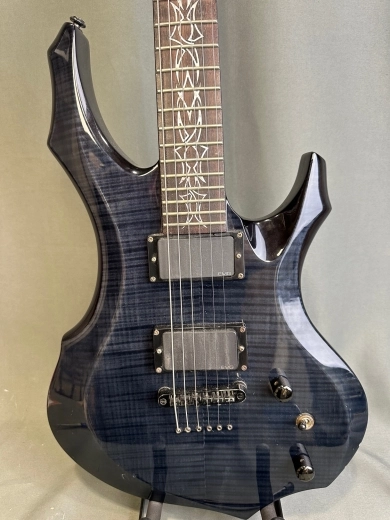 Gear Hunter | ESP LTD F-400FM