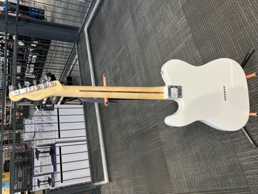 Gear Hunter | Fender - 014-5213-515