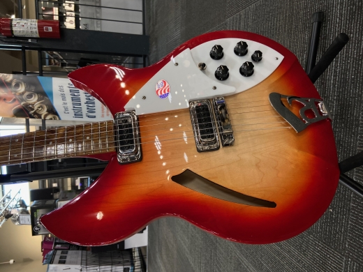 Rickenbacker 300 Series Thinline Semi-Hollow Electric Guitar With Case ...