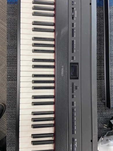 Gear Hunter | Yamaha - P515 B