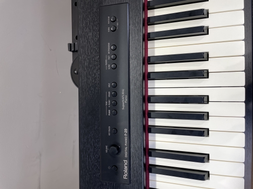 Gear Hunter | Roland - F-20-CB