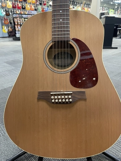 Gear Hunter | SEAGULL COASTLINE CEDAR 12 W/QIT