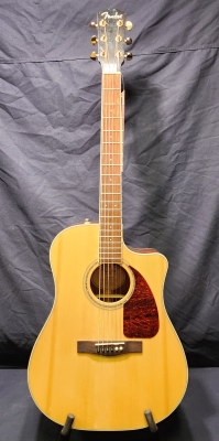 Gear Hunter | Fender DG200SCE