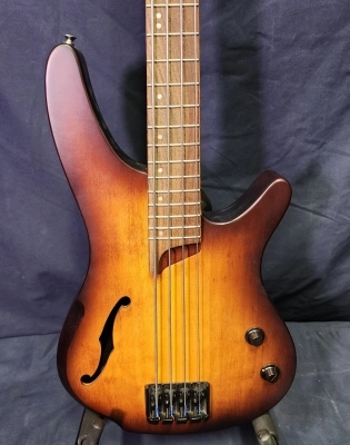 Gear Hunter | Ibanez - SR Bass Workshop Hollowbody - Flat Dragon Eye Burst