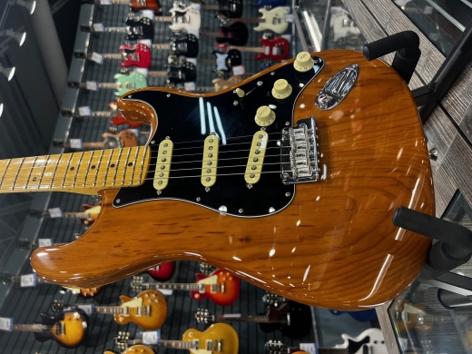 Gear Hunter | Fender - 011-3902-763