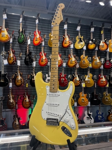 Gear Hunter | Fender - 014-4502-534