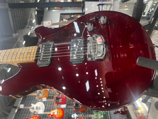 Gear Hunter | EBMM VALENTINE TRANS MAROON MPL SHELL/PG