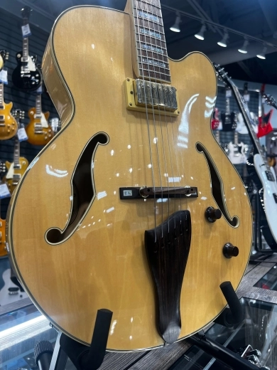Gear Hunter | Ibanez - PM35 NT