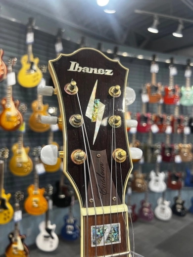 Gear Hunter | Ibanez - PM35 NT