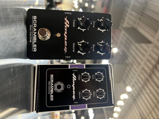 Gear Hunter | Ampeg - SCRAMBLER-AMPEG