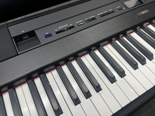 Gear Hunter | Yamaha - P515 B