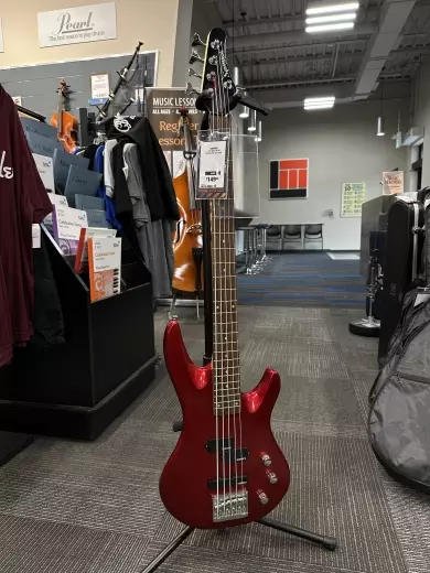 Gear Hunter | SAMICK RED 80'S BASS