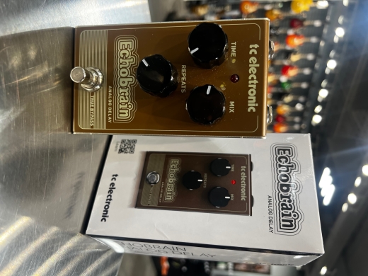 Gear Hunter | TC Electronic - ECHOBRAIN