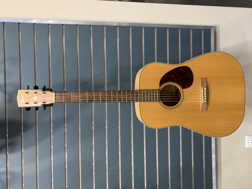 Gear Hunter | Cort - Earth 100