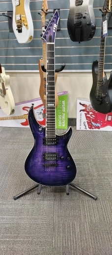 Gear Hunter | ESP Guitars - HORIZON-III RDB