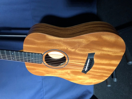 Gear Hunter | Taylor Guitars - BT2E TM