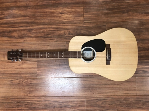 Gear Hunter | Martin Guitars - DX2E-2