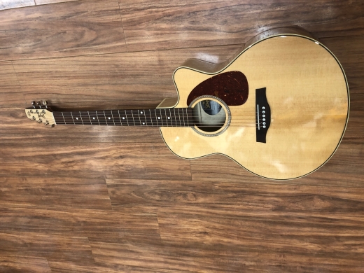 Gear Hunter | Seagull Guitars - S32471