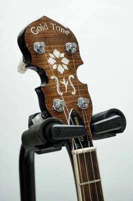 Gear Hunter | Gold Tone - TS-250AT Tenor Banjo