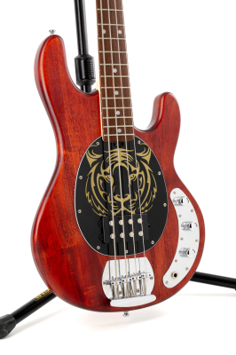Gear Hunter | Sterling - Ray4 Stingray Bass w/ Case