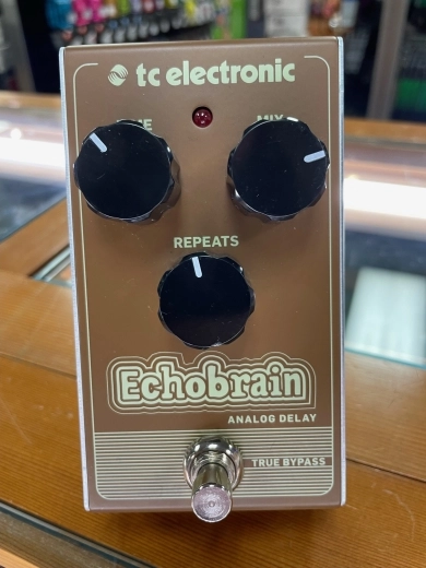 Gear Hunter | TC Electronic - ECHOBRAIN
