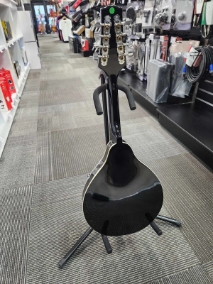 Gear Hunter | Denver - A Style Mandolin