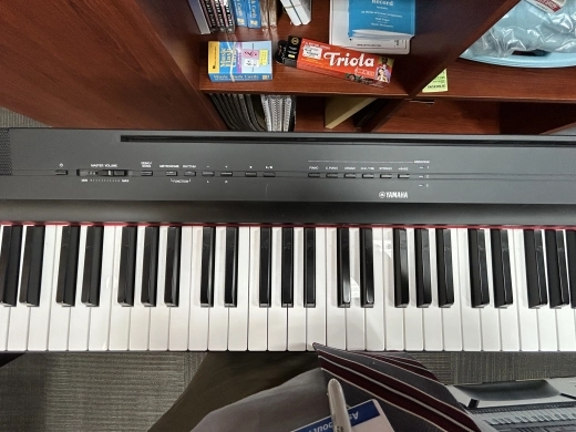 Gear Hunter | Yamaha - P125 B