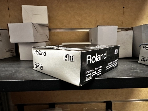 Gear Hunter | Roland - DP-2