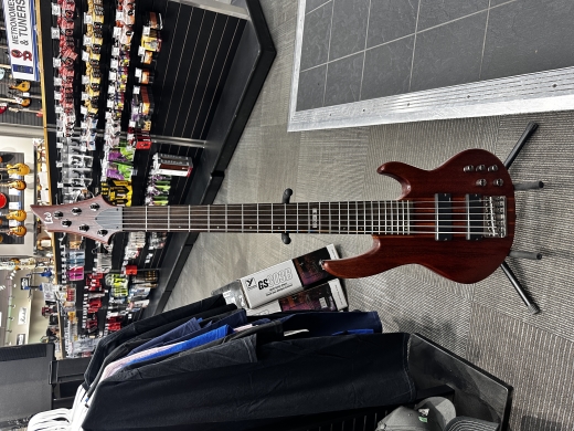 Gear Hunter | ESP LTD D-6 6-String Bass - Natural Satin