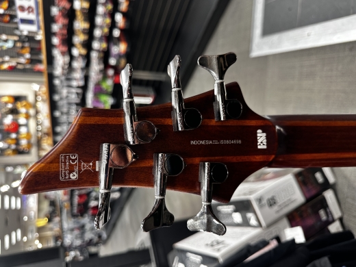 Gear Hunter | ESP LTD D-6 6-String Bass - Natural Satin