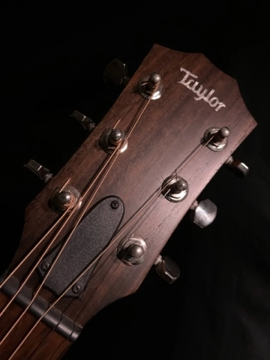 Gear Hunter | Taylor Guitars - GT URBAN ASH