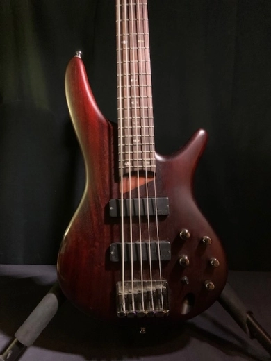 Gear Hunter | Ibanez - SR505 BM