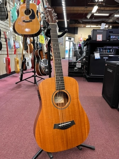 Gear Hunter | Taylor Guitars - BT2E TM