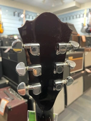 Gear Hunter | IBANEZ ARTCORE SYCAMORE DC VIOLIN