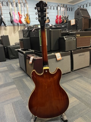 Gear Hunter | IBANEZ ARTCORE SYCAMORE DC VIOLIN