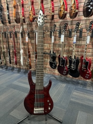 Gear Hunter | HOHNER 6 STRING BASS