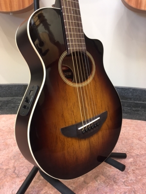 Gear Hunter | Yamaha - APXT2EW TBS