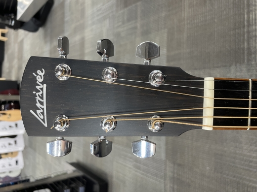 Gear Hunter | Larrivee - D-03