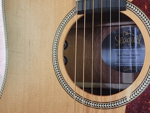 Gear Hunter | Seagull Guitars - Artist Mosaic Element