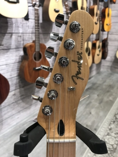 Gear Hunter | Fender - 014-5212-550