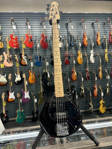 Gear Hunter | Sterling By Music Man - Ray5 5-String Stingray Bass - Black