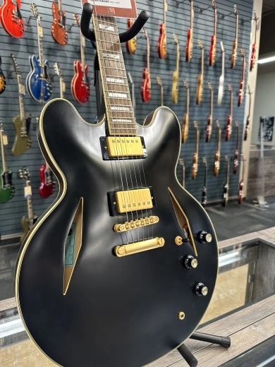 Gear Hunter | Emily Wolfe Sheraton Stealth